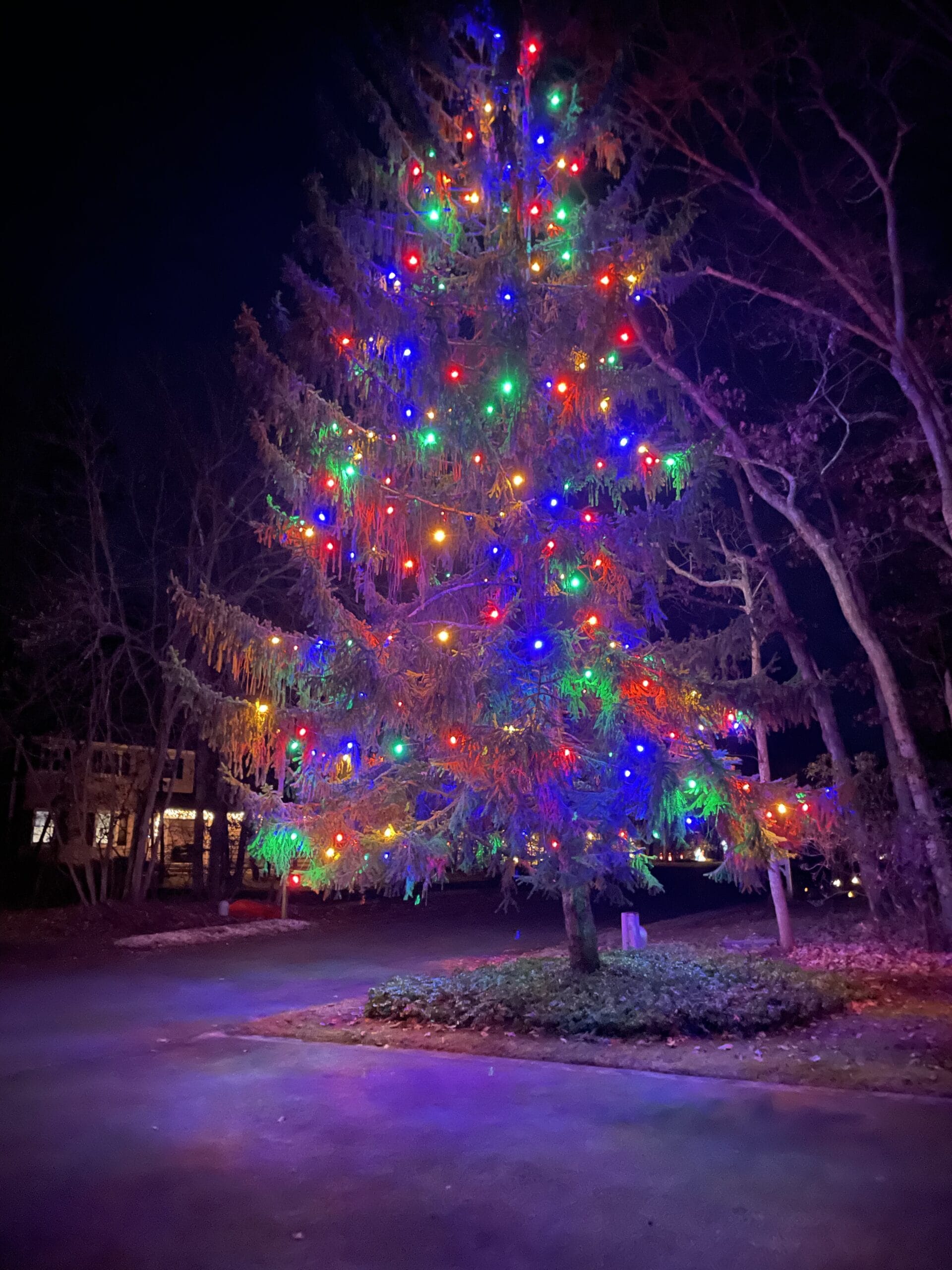 Professional Holiday Lighting Services | Lisk Holiday Decor