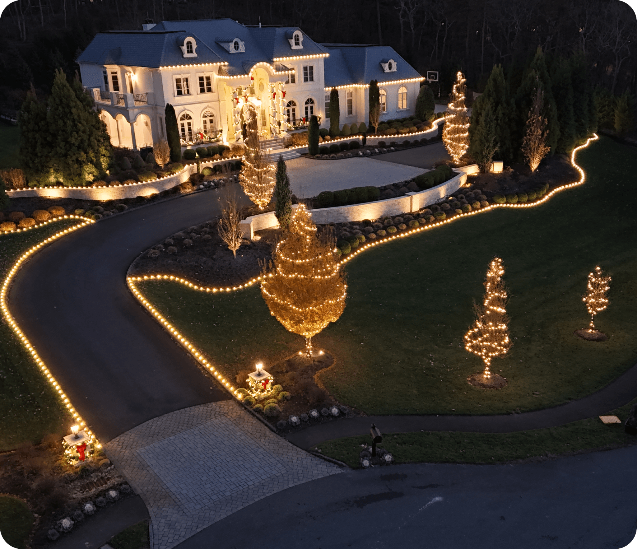 Trees and Shrubs Holiday Lighting | Lisk Holiday Decor